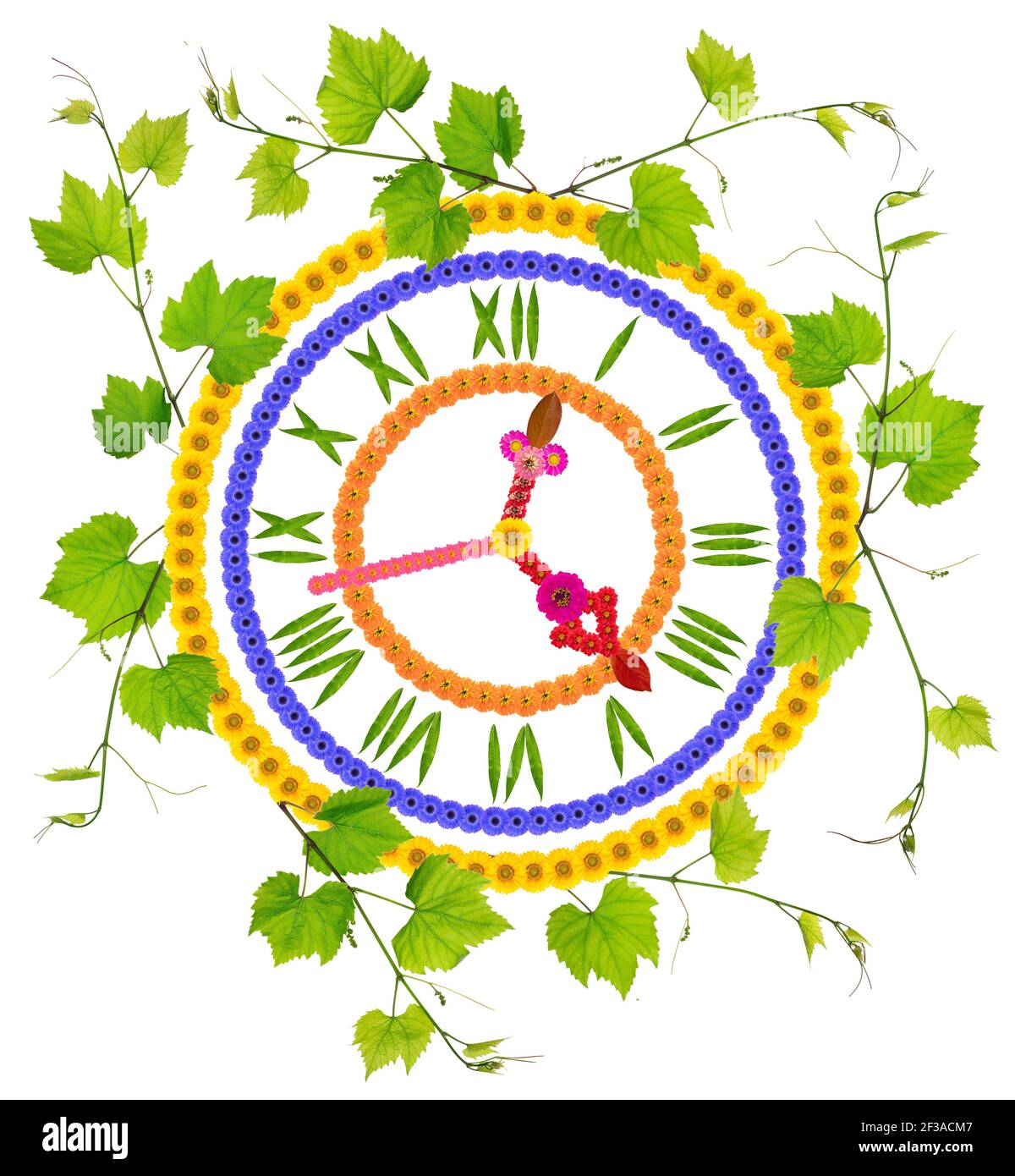 Spring floral clock made from flowers and leaves. Isolated handmade ...
