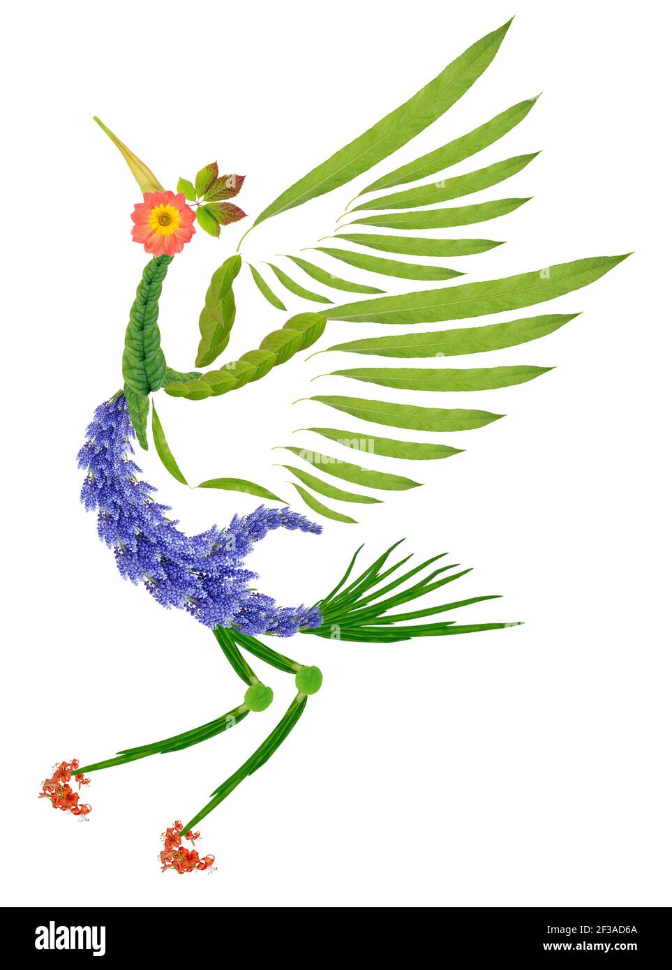 The dancing bird of paradise is made of flowers and leaves. Isolated ...