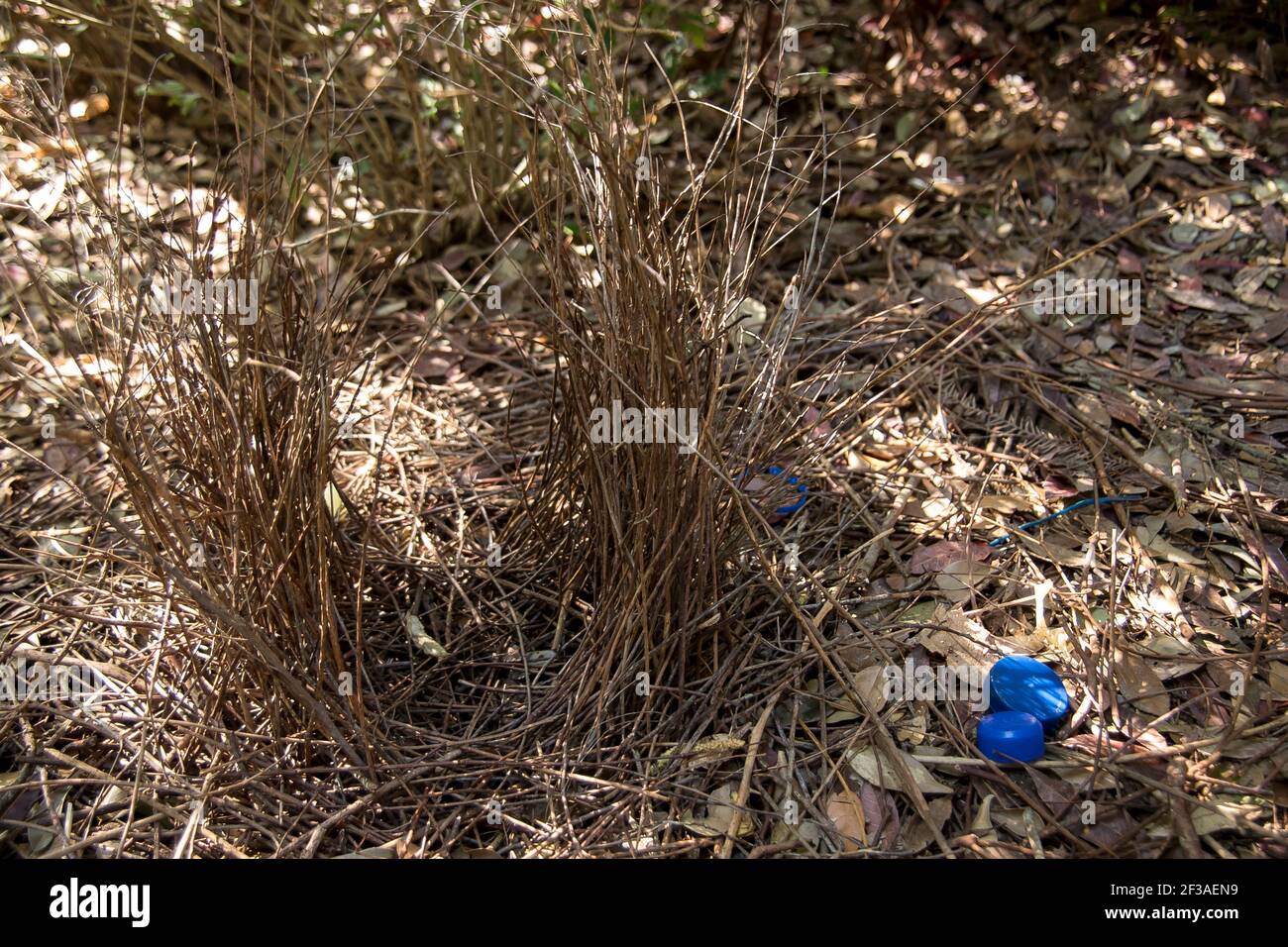 Blue objects hi-res stock photography and images - Alamy