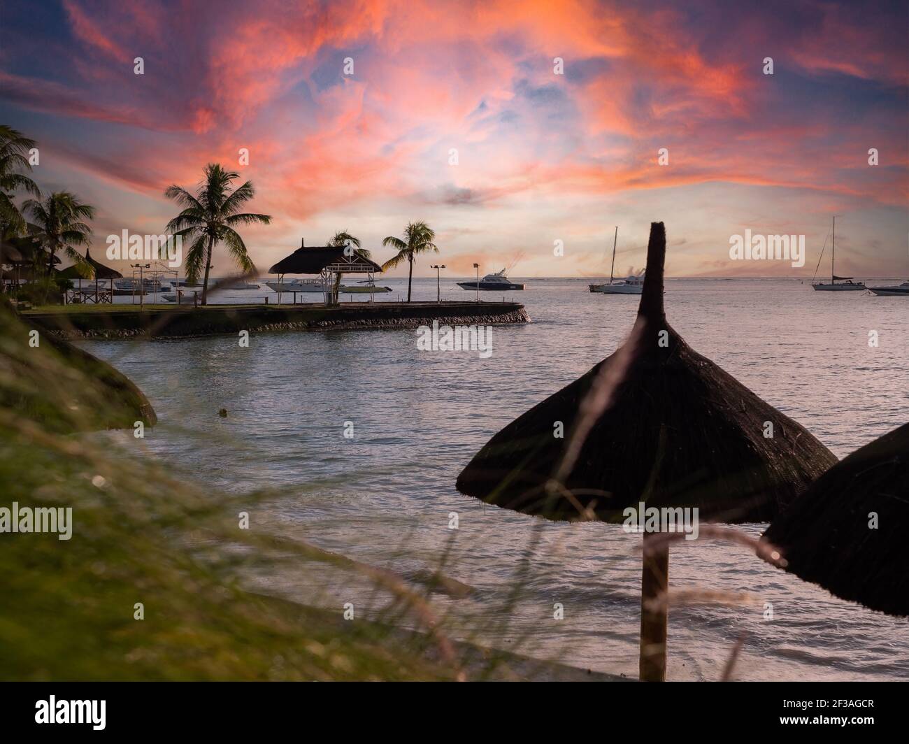 Tropical Climates High Resolution Stock Photography and Images - Alamy