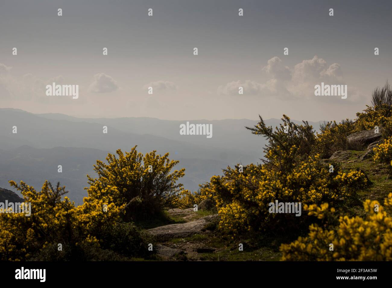 Dusky sky hi-res stock photography and images - Alamy