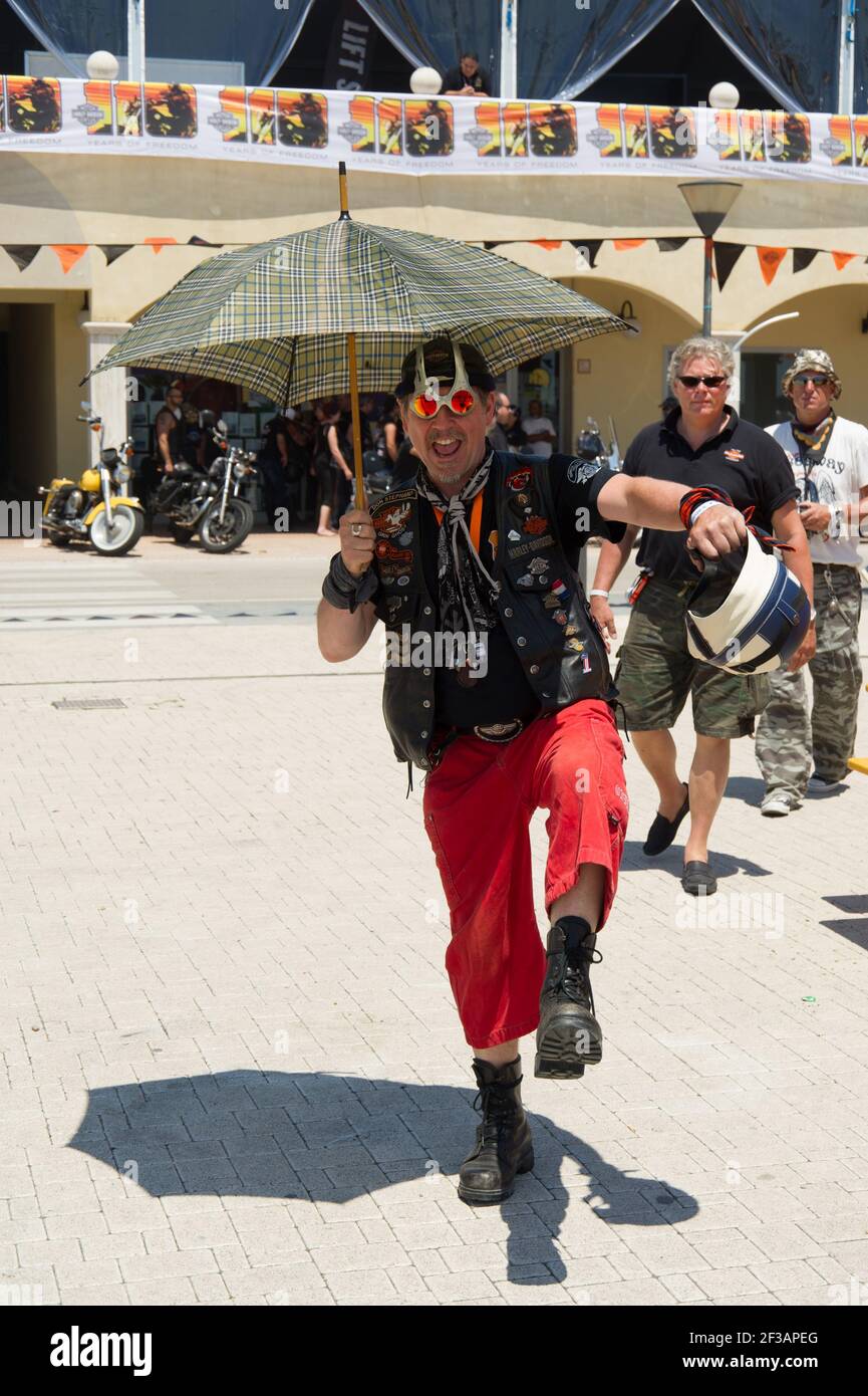 Harley davidson 883 sportster motorcycle hi-res stock photography and ...