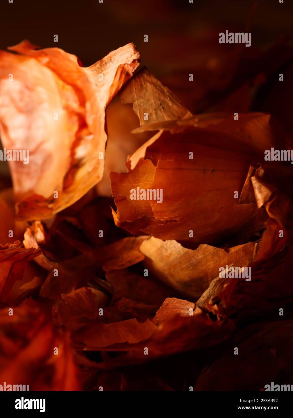 Skin of onion hi-res stock photography and images - Alamy