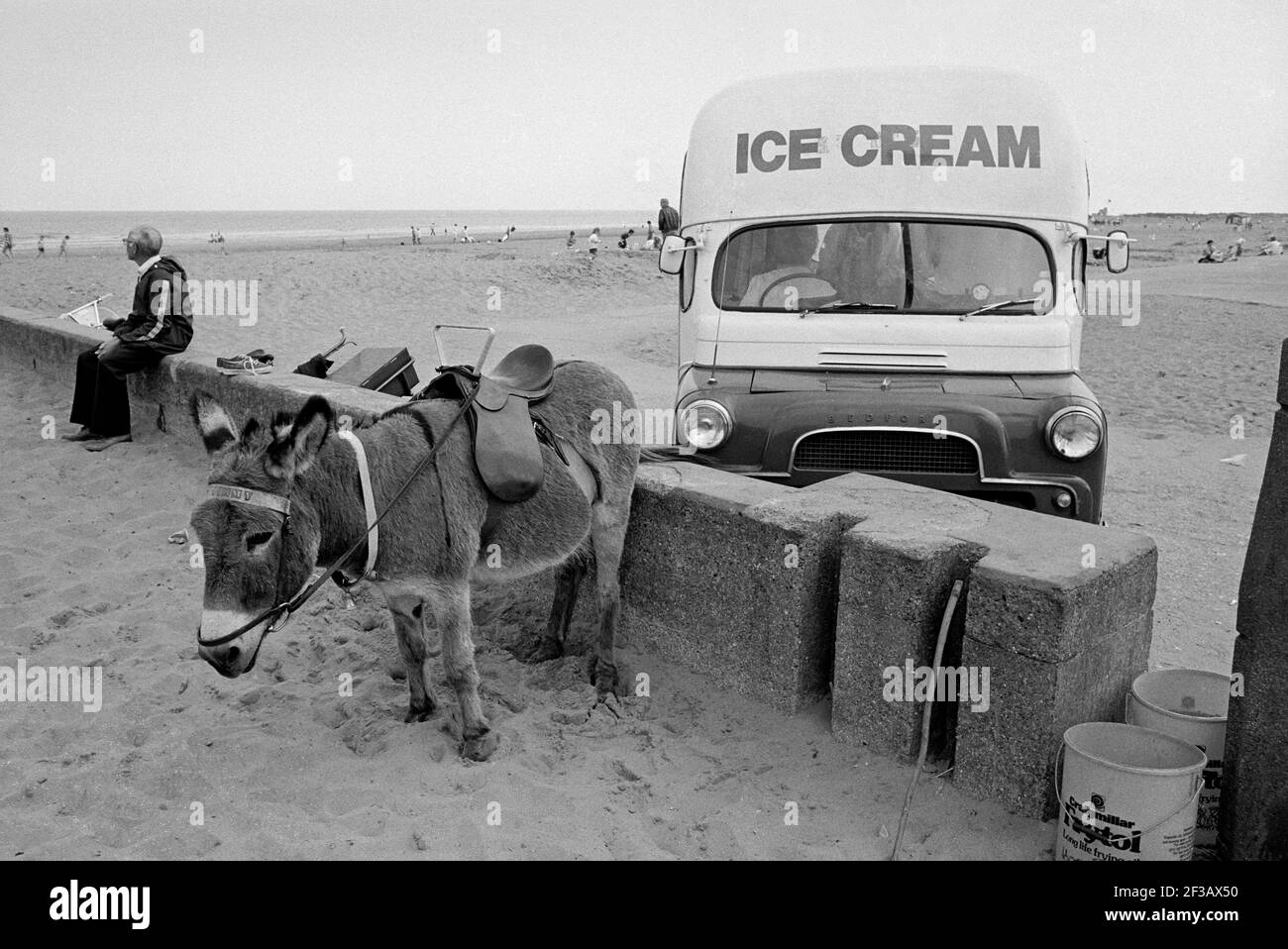 Seaside donkey and ice cream van on the beach at Skegness in ...