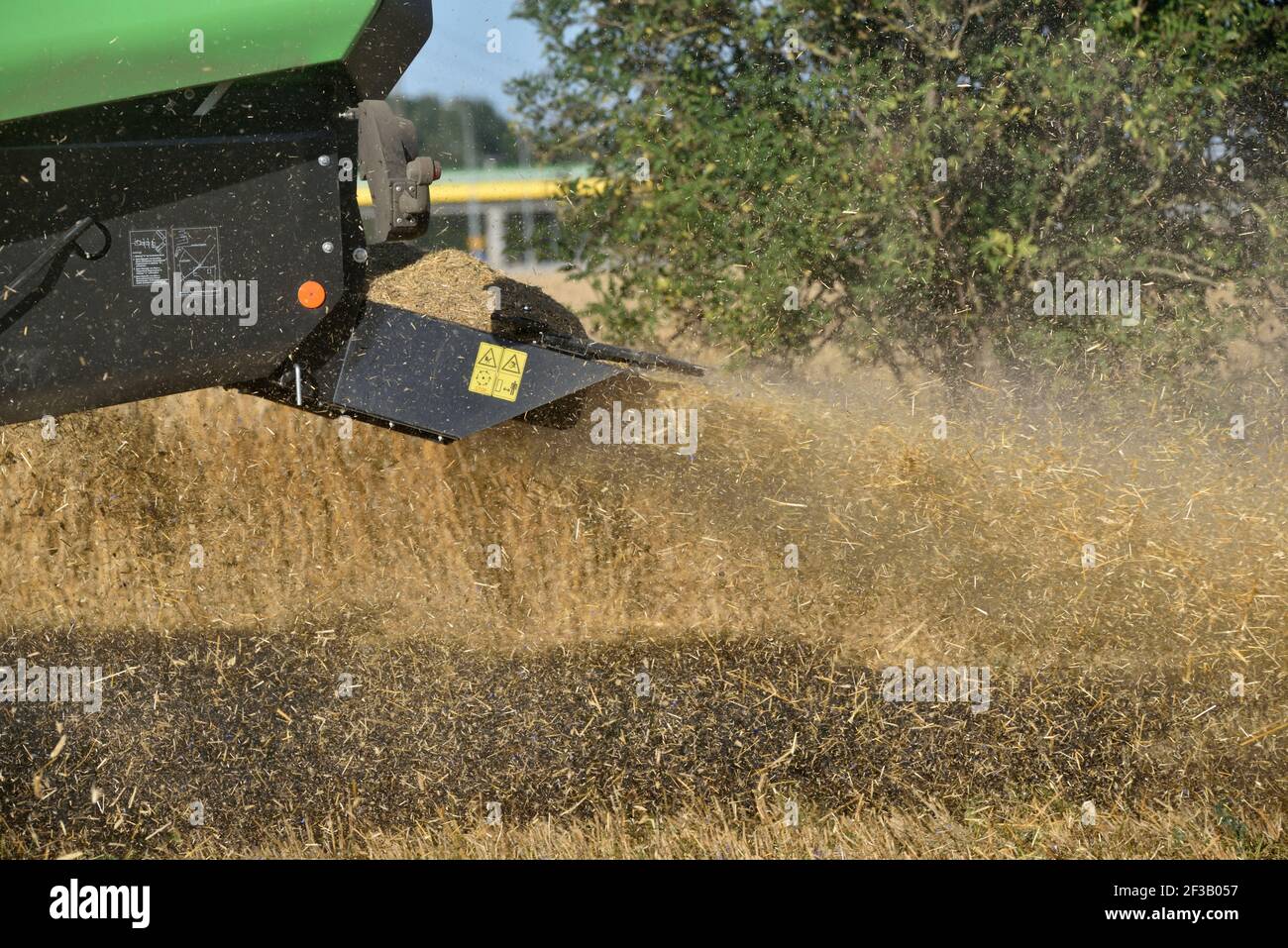 the combine harvester ejects cut straw during operation Stock Photo - Alamy