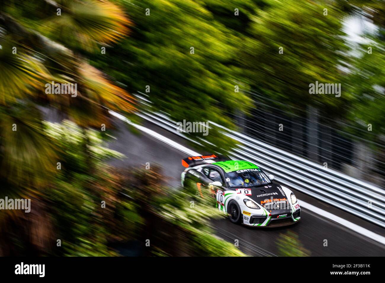 Gomar High Resolution Stock Photography and Images - Alamy