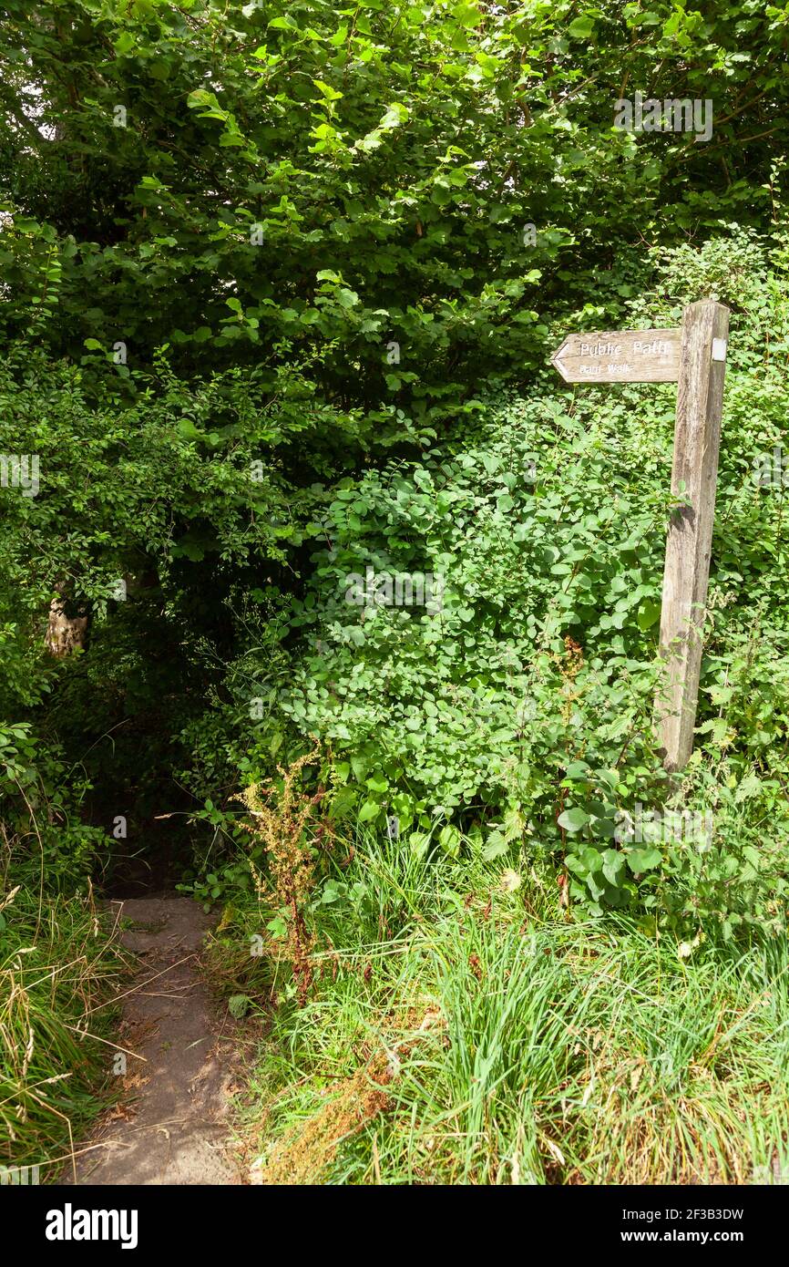 Pathway Guide High Resolution Stock Photography and Images - Alamy