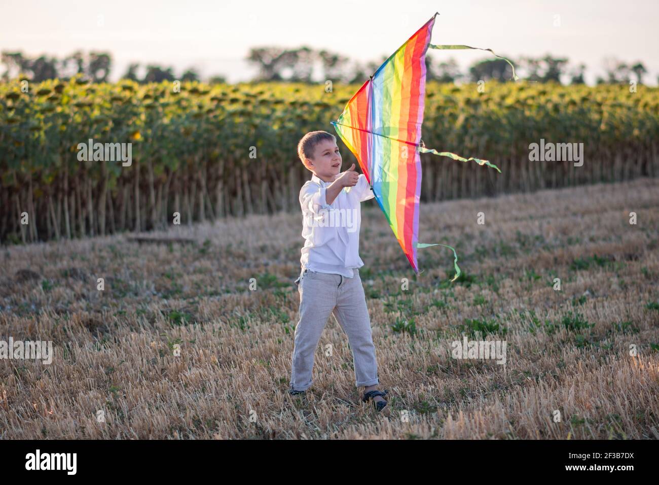 Happy little boy running with colorful kite in hands Stock Photo - Alamy