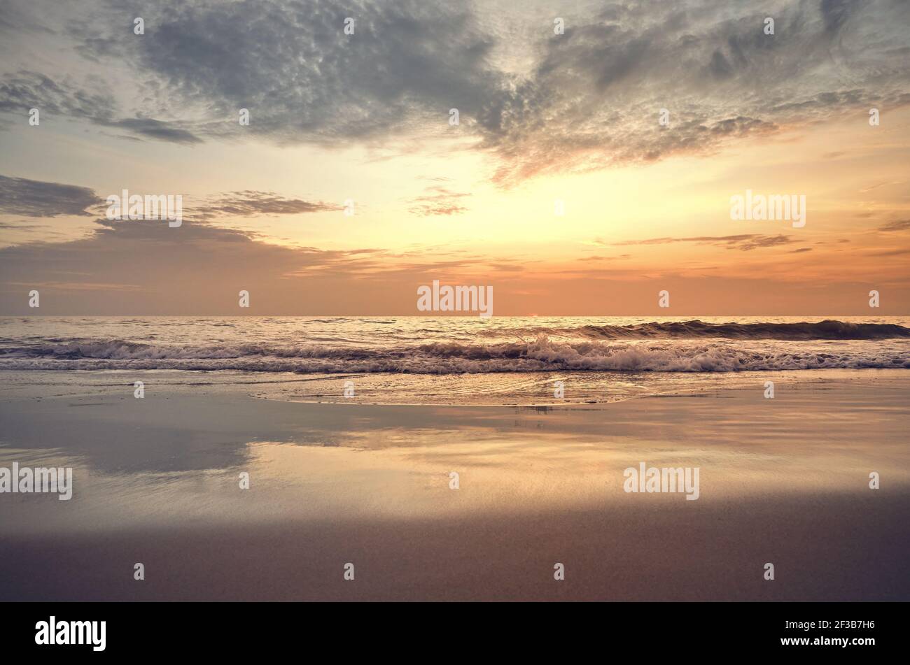 Golden sunset landscape hi-res stock photography and images - Alamy