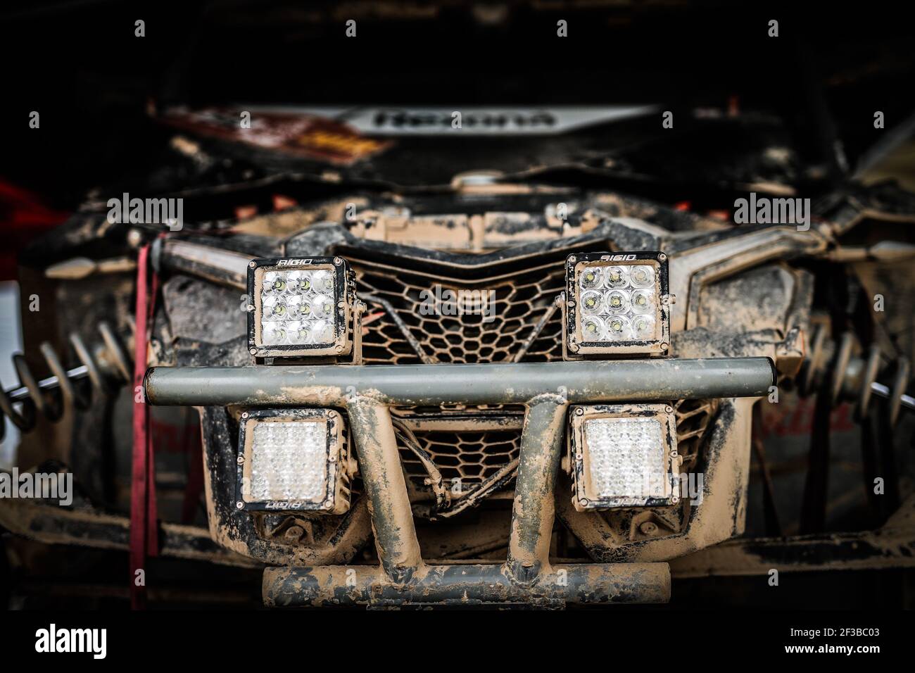 342 VALLEJO Juan Carlos (chi), BARONIO Leonardo (per), Can-Am, Pro Raid ...