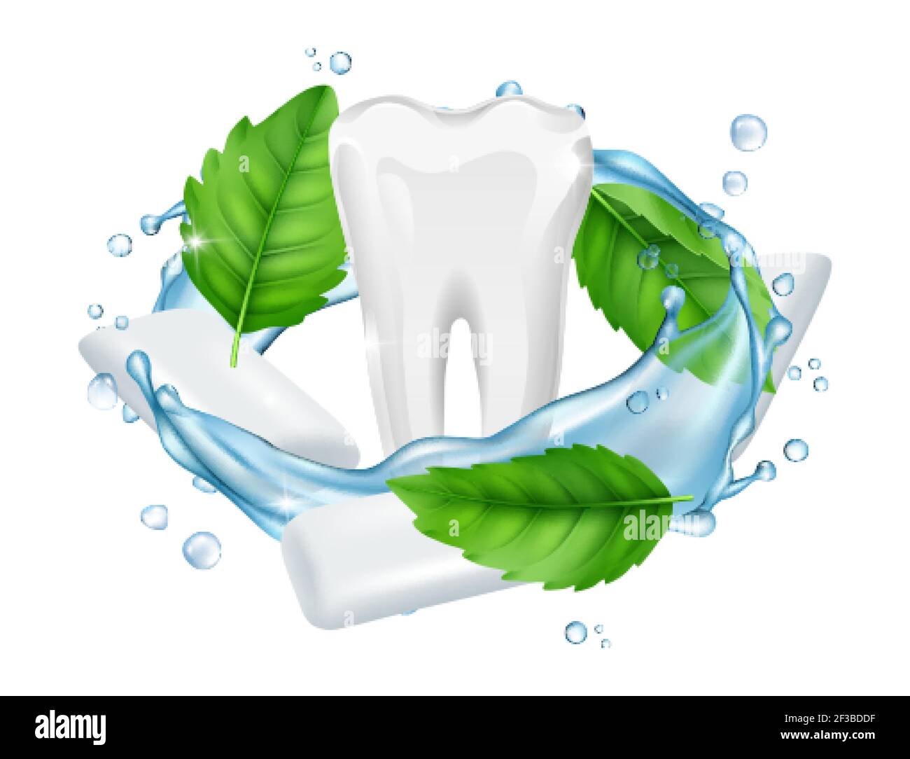 Chewing gum. Vector fresh menthol leaves, white gum, tooth realistic ...