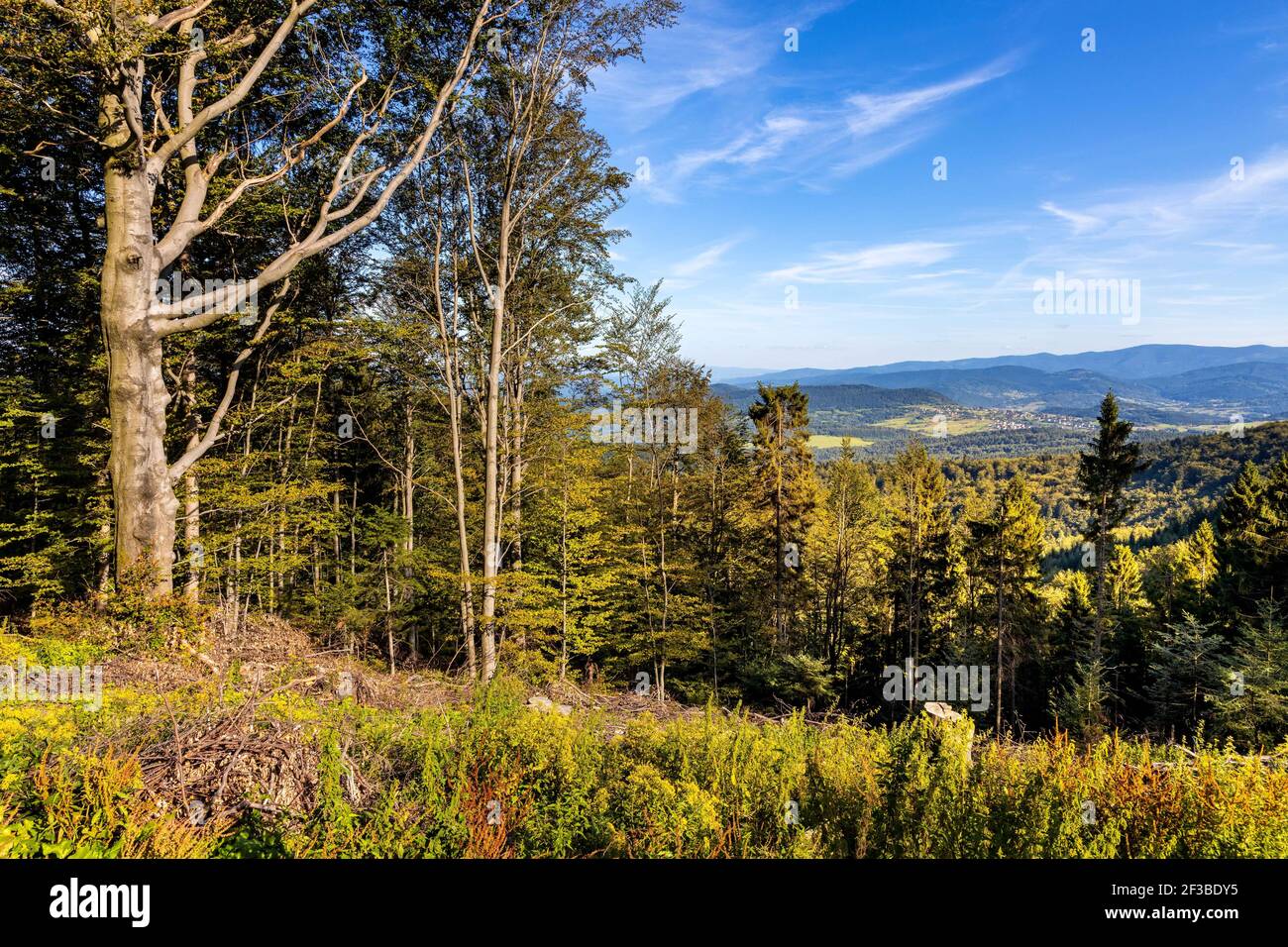 Panoramic view of eastern Beskidy mountains from Gron Jana Pawla II ...