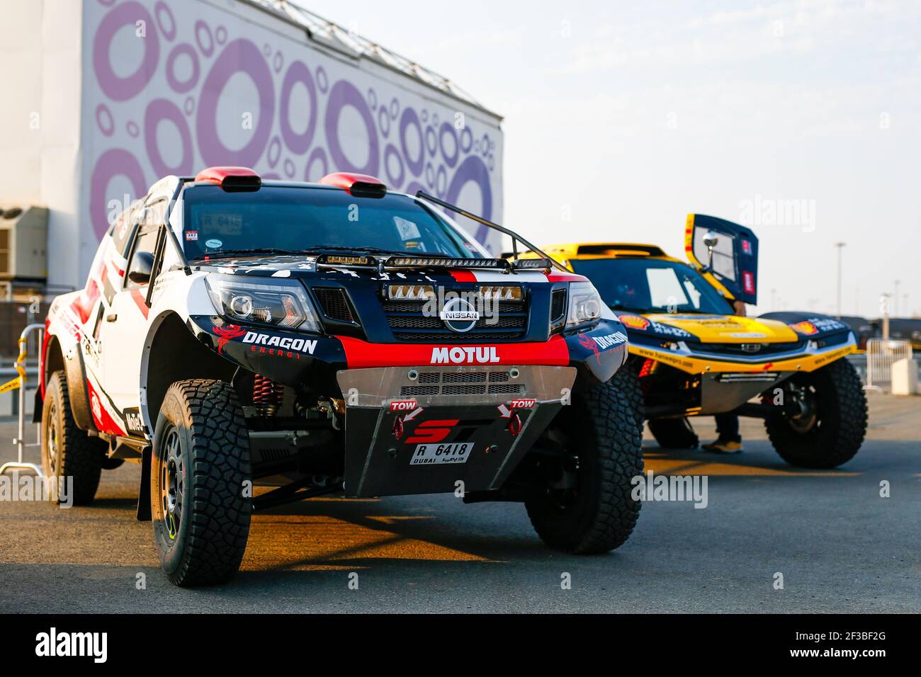 Sabertooth hi-res stock photography and images - Alamy