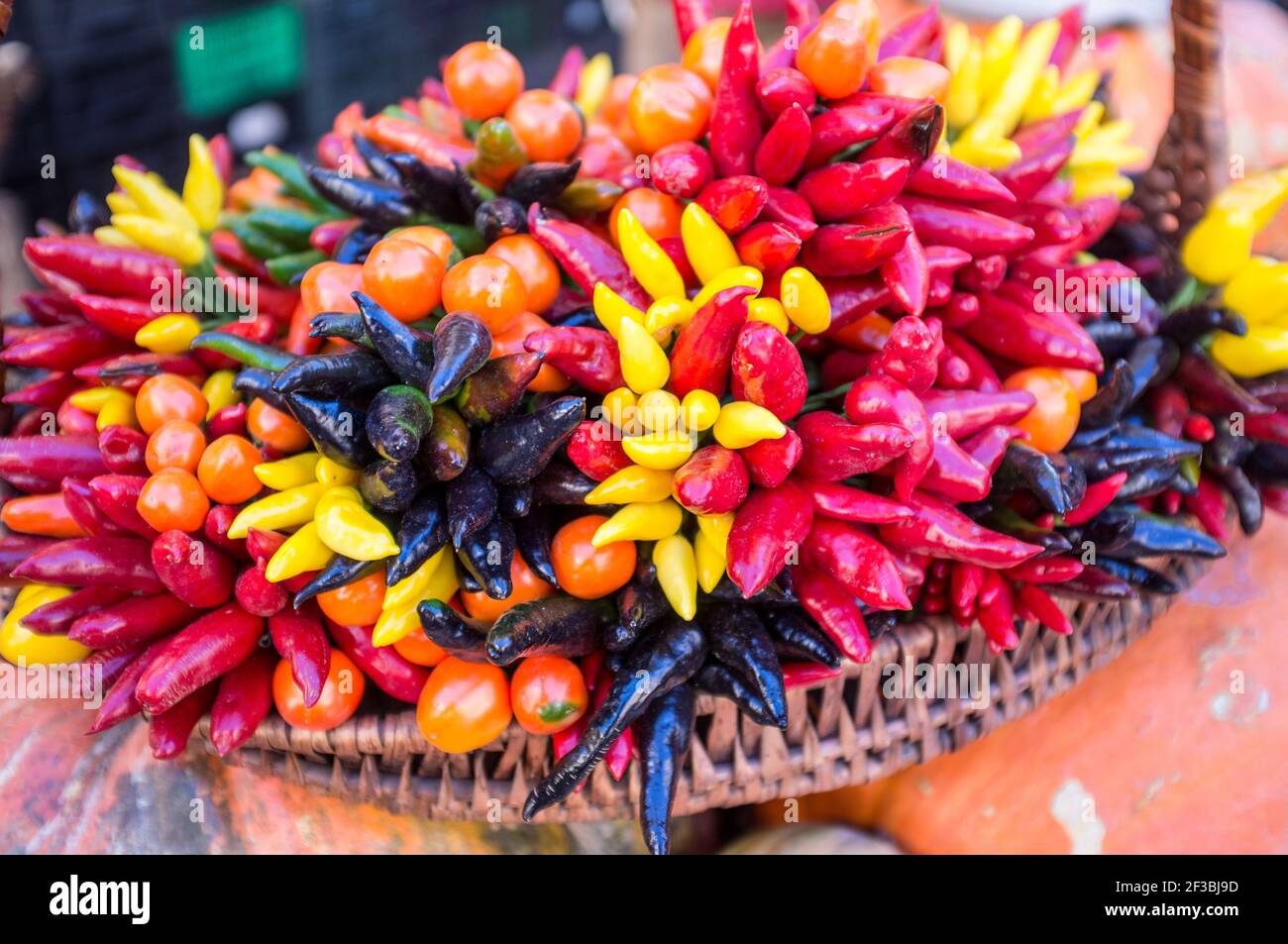 Parione district hi-res stock photography and images - Alamy