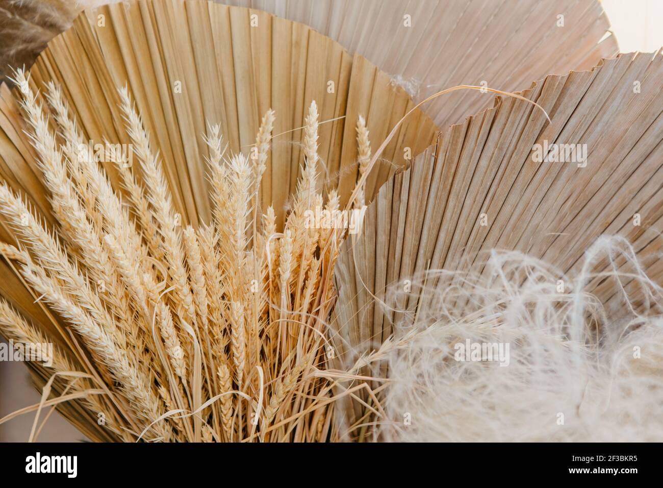 Boho flower hi-res stock photography and images - Alamy