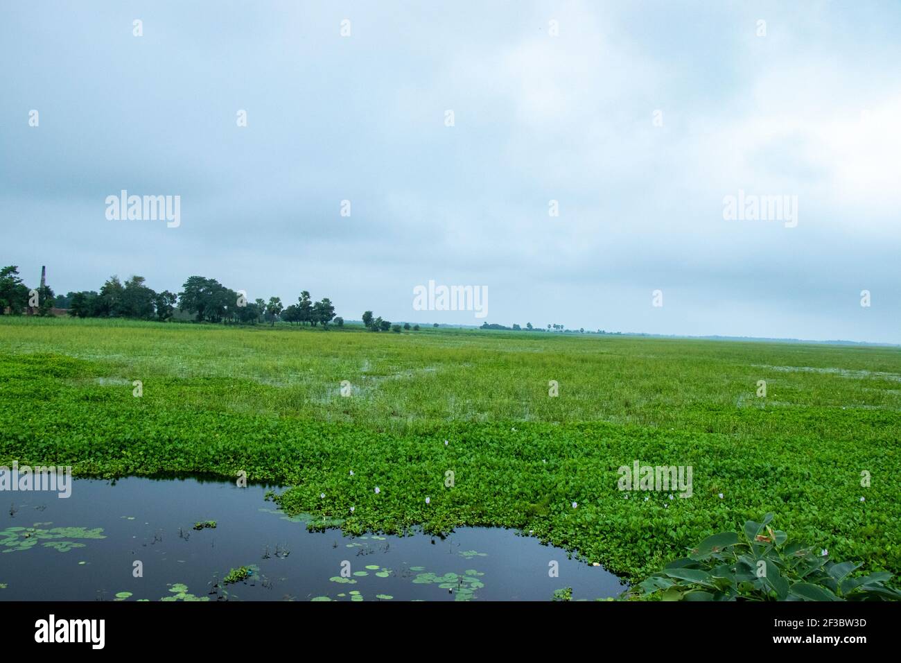 Beautiful lakeside hi-res stock photography and images - Alamy