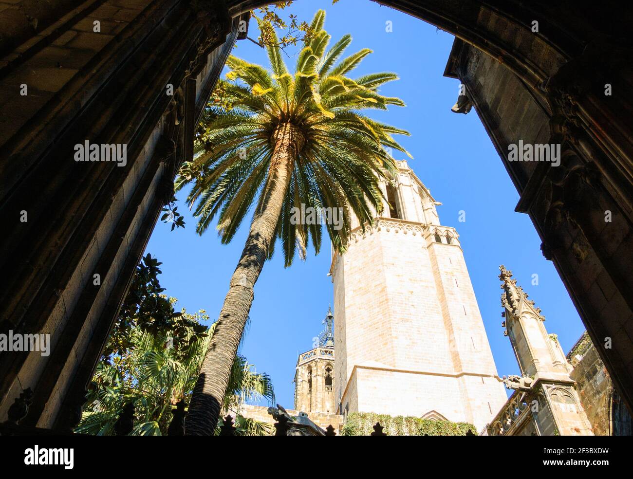 Barcelona cathedral courtyard Stock Photo - Alamy
