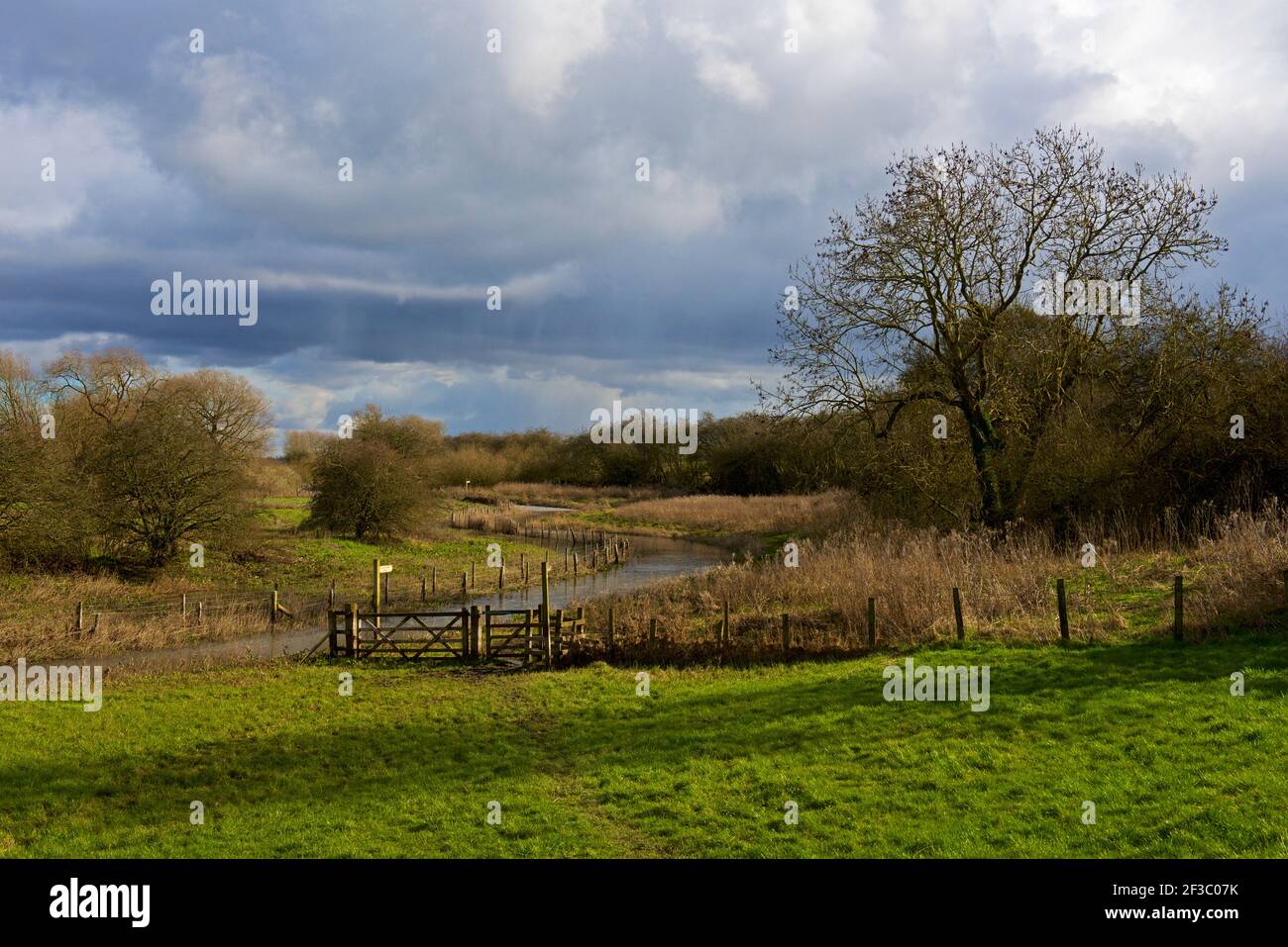 Wheldrake Ings nature reserve, North Yorkshire, England UK Stock Photo ...