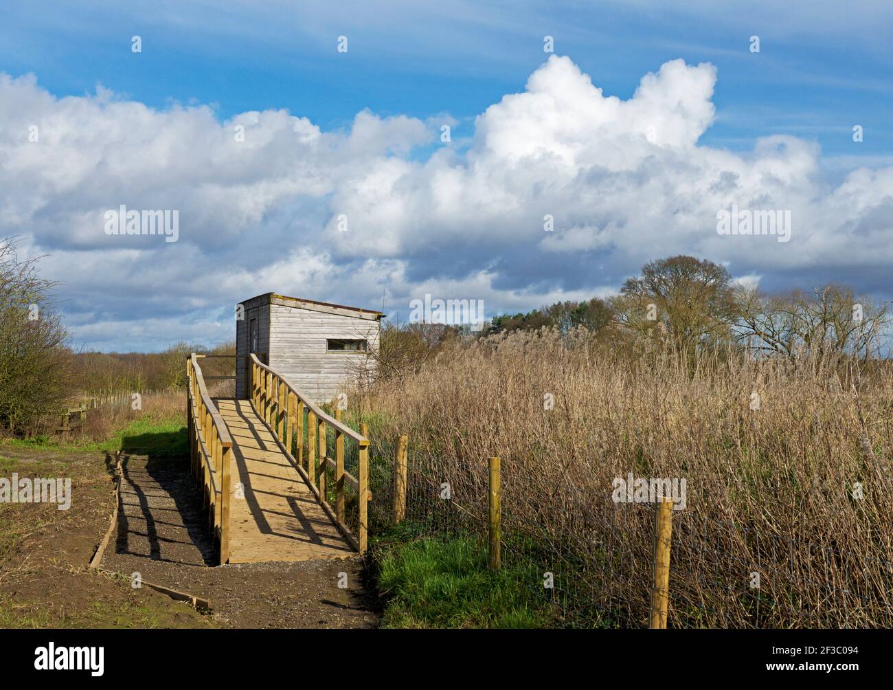 Wheldrake Ings nature reserve, North Yorkshire, England UK Stock Photo ...