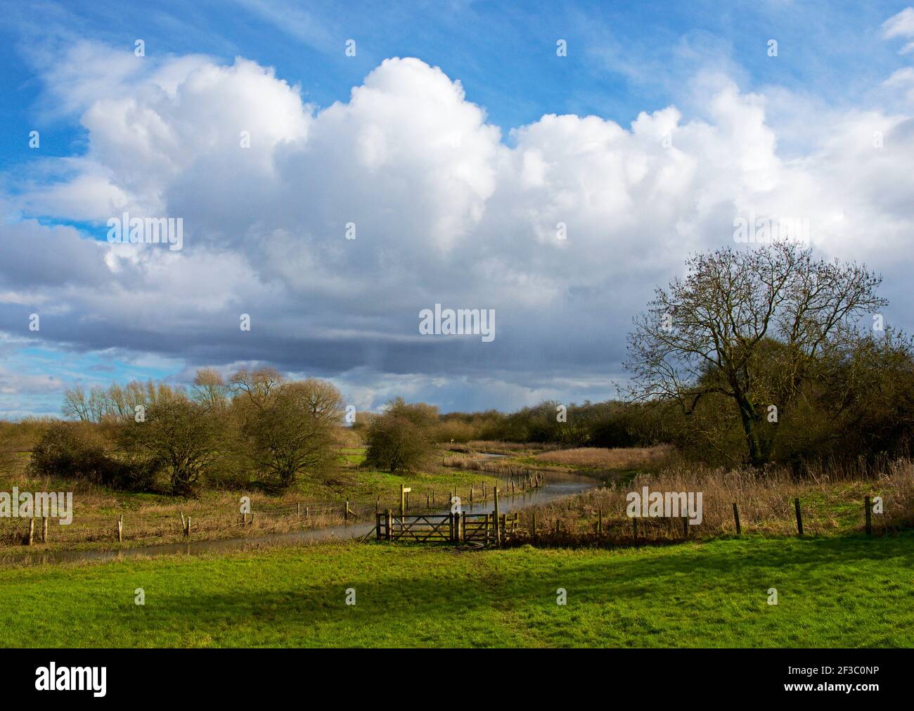 Wheldrake Ings nature reserve, North Yorkshire, England UK Stock Photo ...