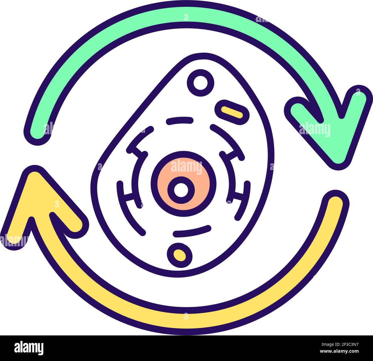 Cellular regeneration RGB color icon Stock Vector Image & Art - Alamy