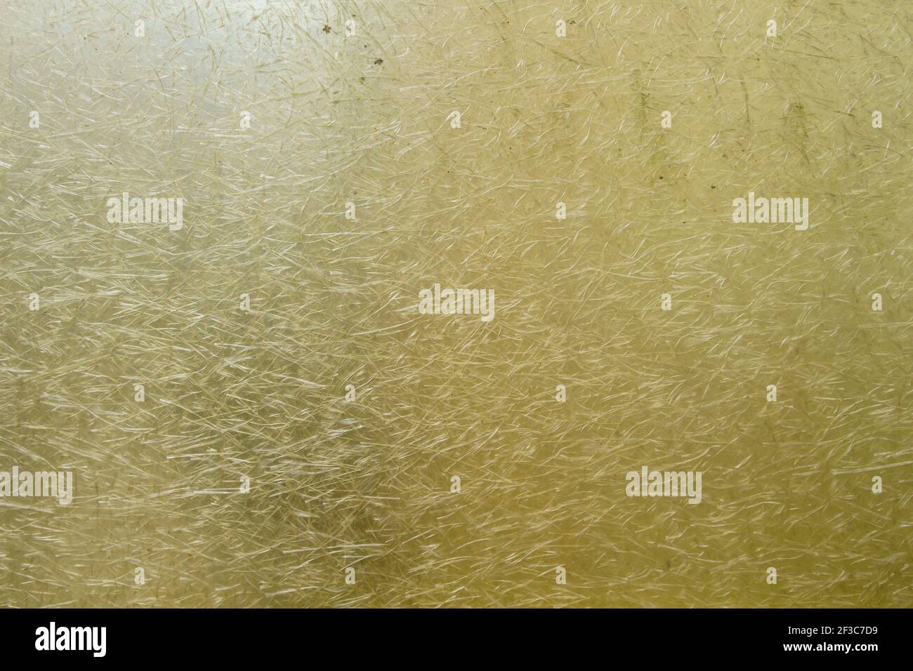 Thermoplastic fiberglass polycarbonate sheet texture Stock Photo - Alamy