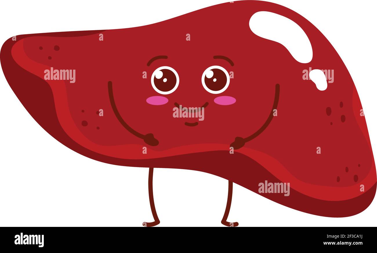 cute organ liver Stock Vector Image & Art - Alamy