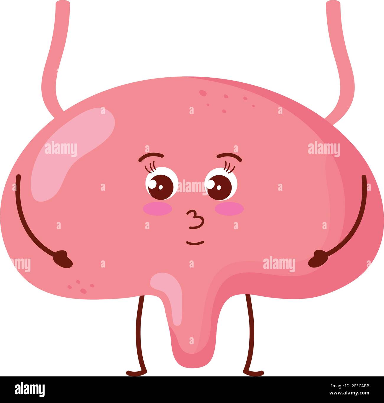cute organ bladder Stock Vector Image & Art - Alamy