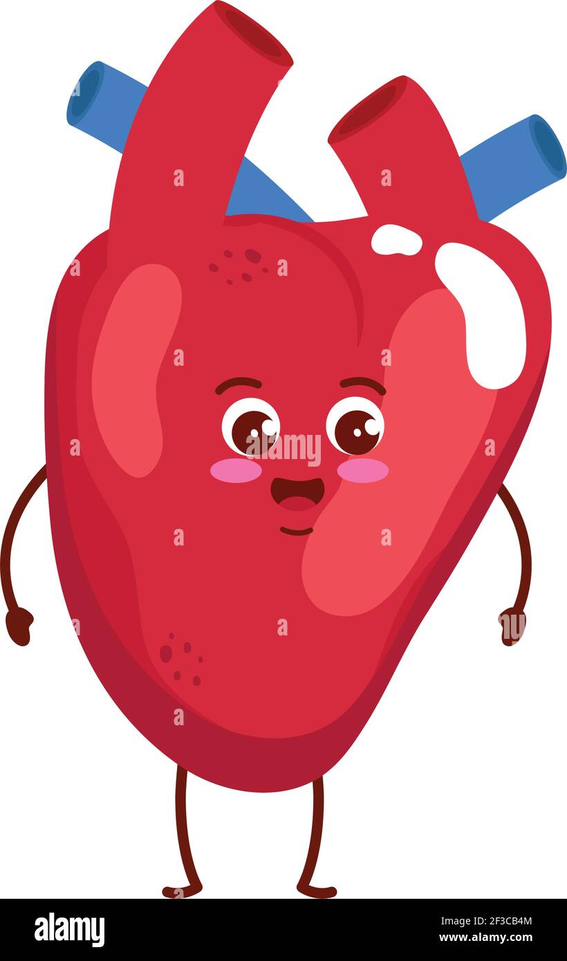 cute organ heart Stock Vector Image & Art - Alamy