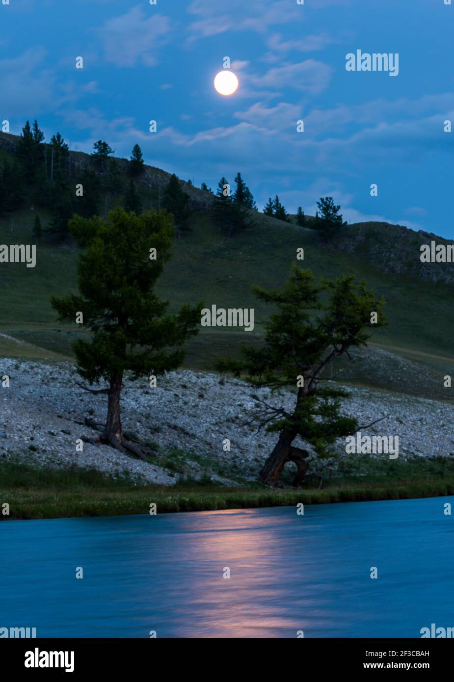 Full moon fir trees night hi-res stock photography and images - Alamy