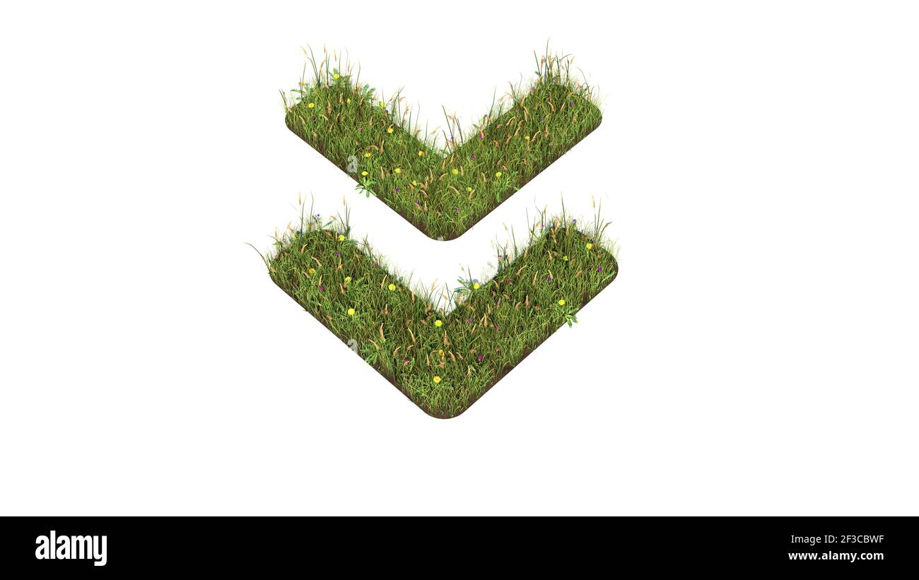 3d rendered grass field with colorful flowers in shape of thick symbol ...