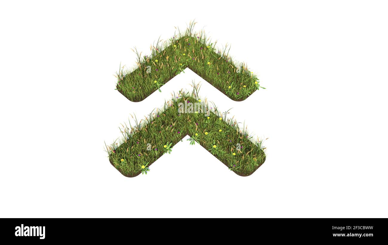 3d rendered grass field with colorful flowers in shape of thick symbol ...