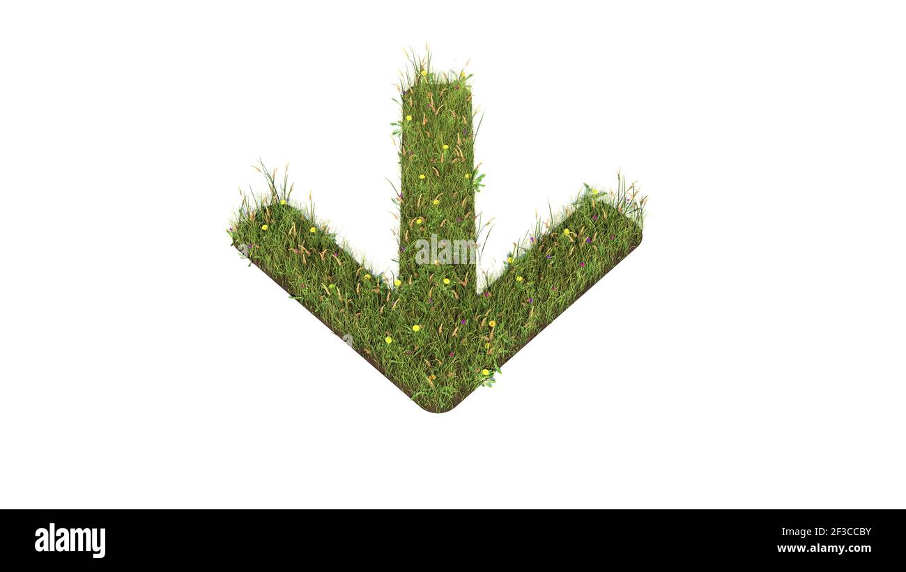 3d rendered grass field with colorful flowers in shape of symbol of ...