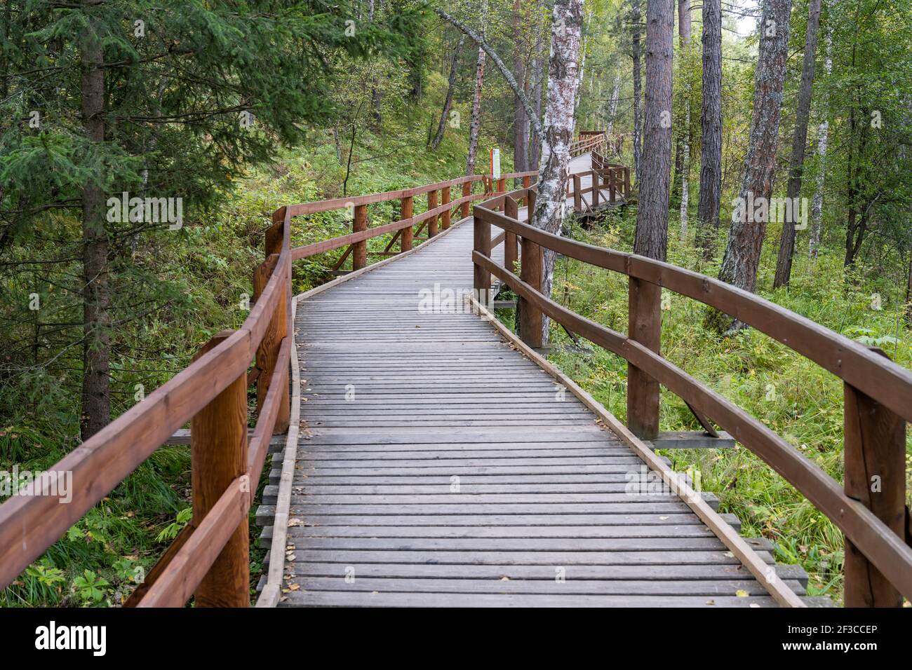 Zapovednik hi-res stock photography and images - Alamy