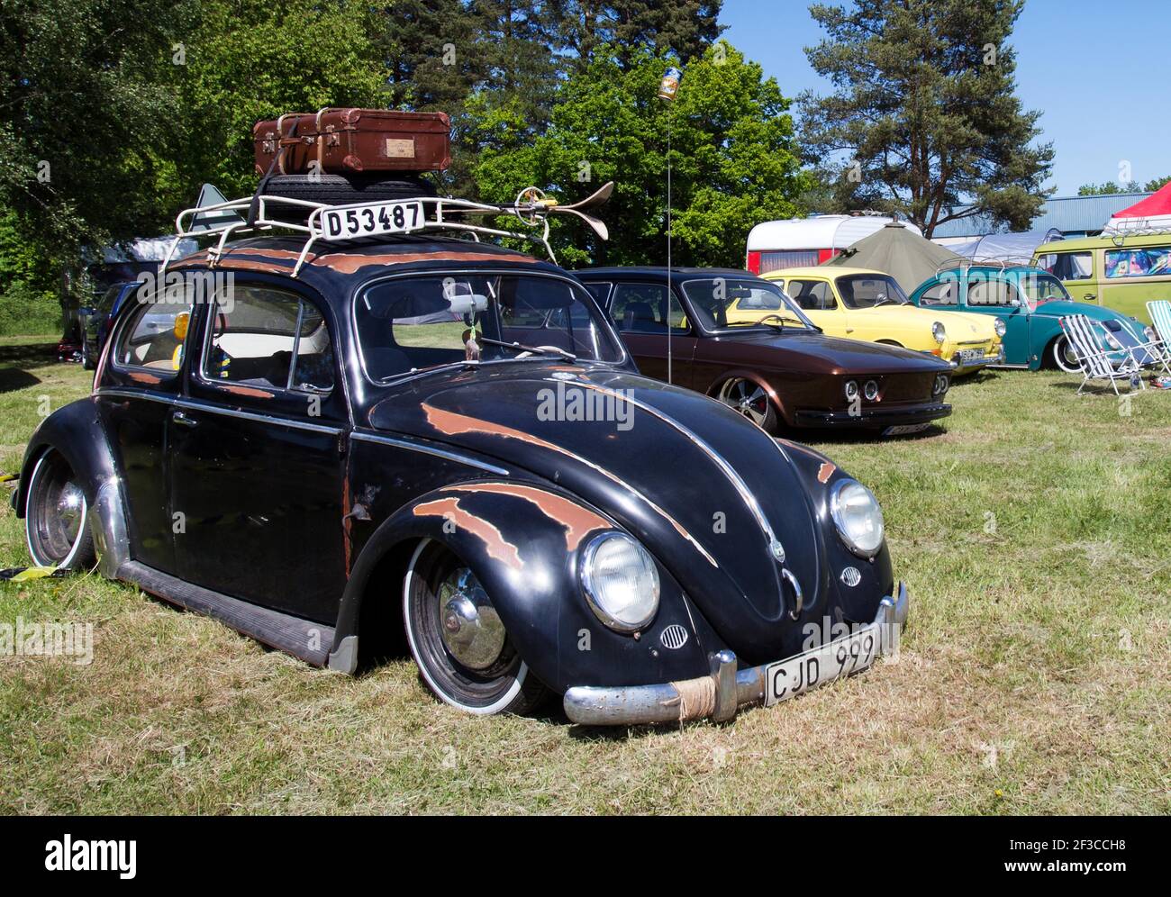 Bug run hi-res stock photography and images - Alamy