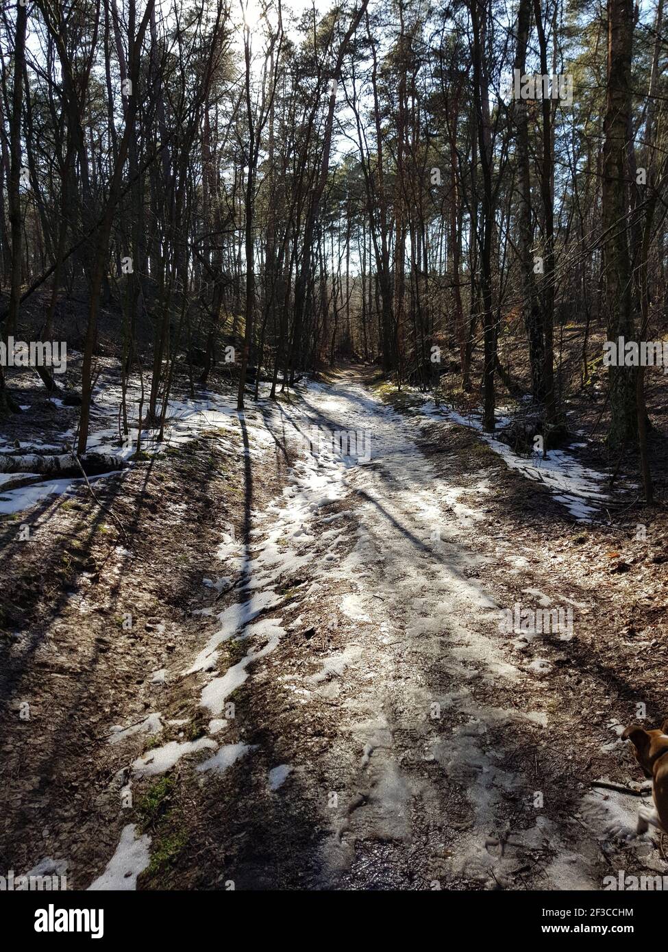 A vertical shot of a muddy way partially covered with snow in the field ...