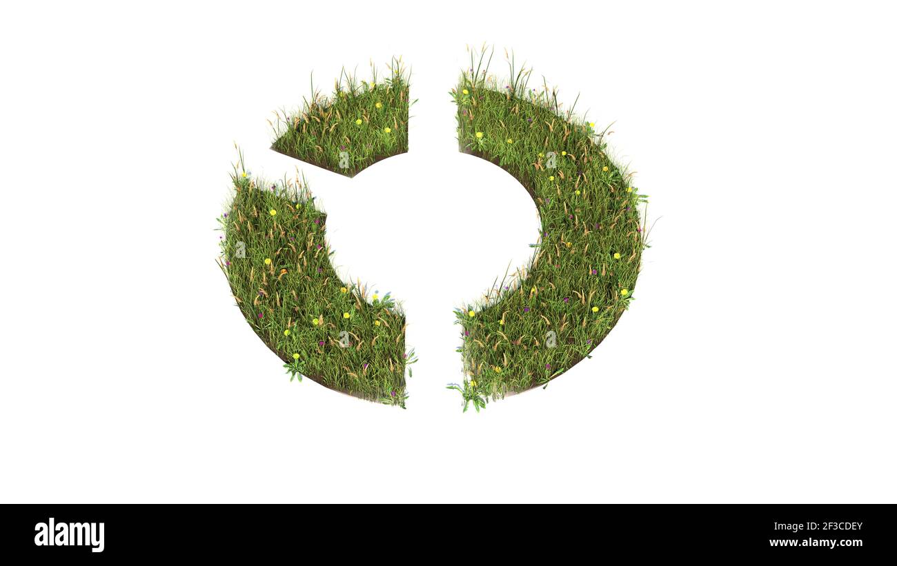 3d rendered grass field with colorful flowers in shape of symbol of pie ...