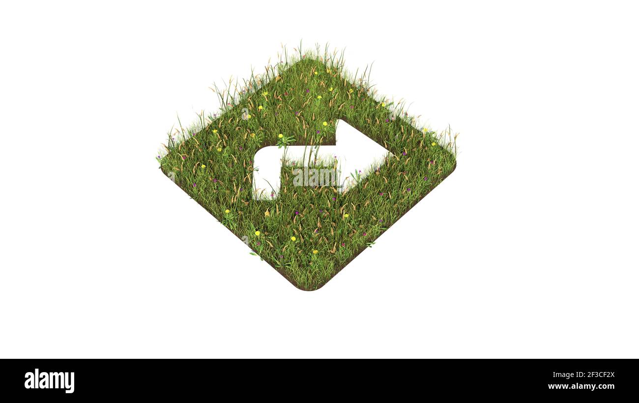 3d rendered grass field with colorful flowers in shape of symbol of ...