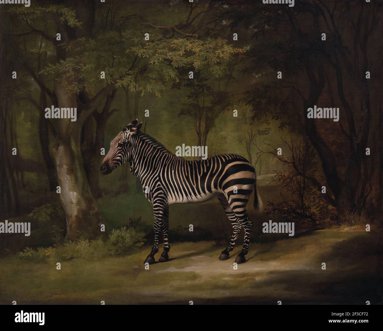 George stubbs zebra hi-res stock photography and images - Alamy