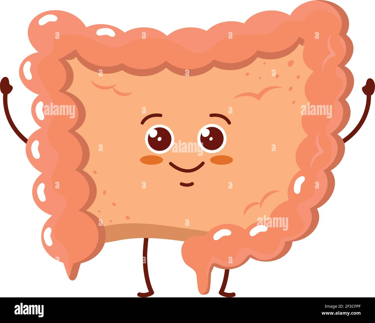 cute organ intestine Stock Vector Image & Art - Alamy