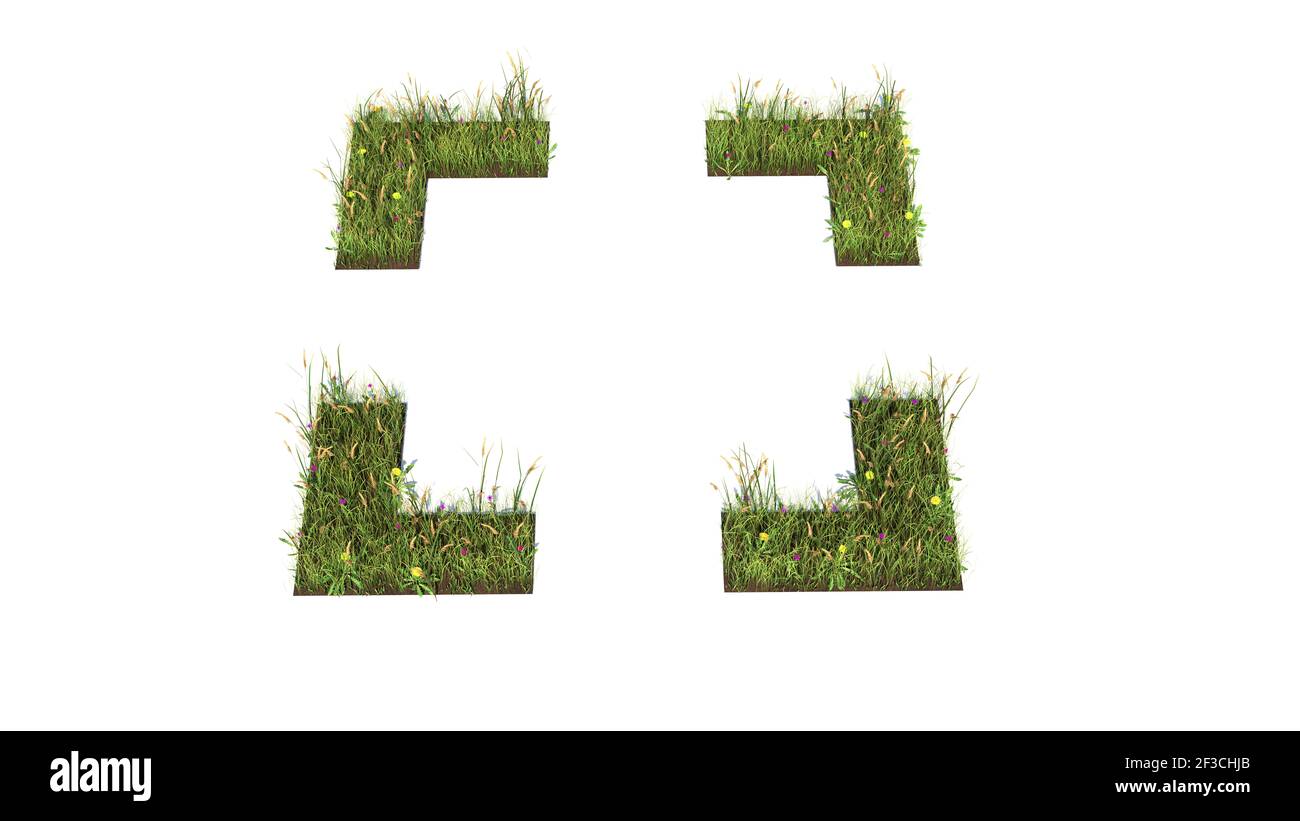 3d rendered grass field with colorful flowers in shape of symbol of ...