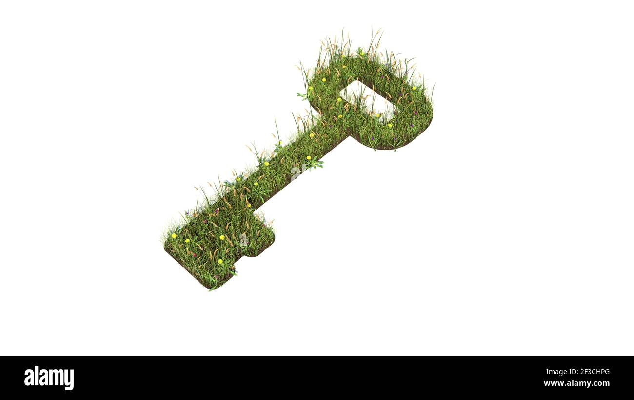 3d rendered grass field with colorful flowers in shape of symbol of key ...