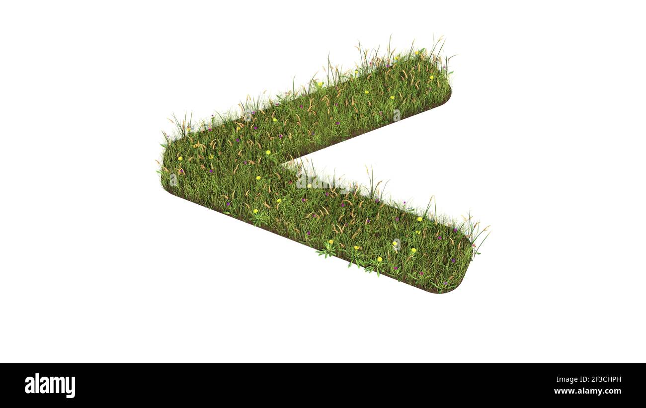 3d rendered grass field with colorful flowers in shape of symbol of ...