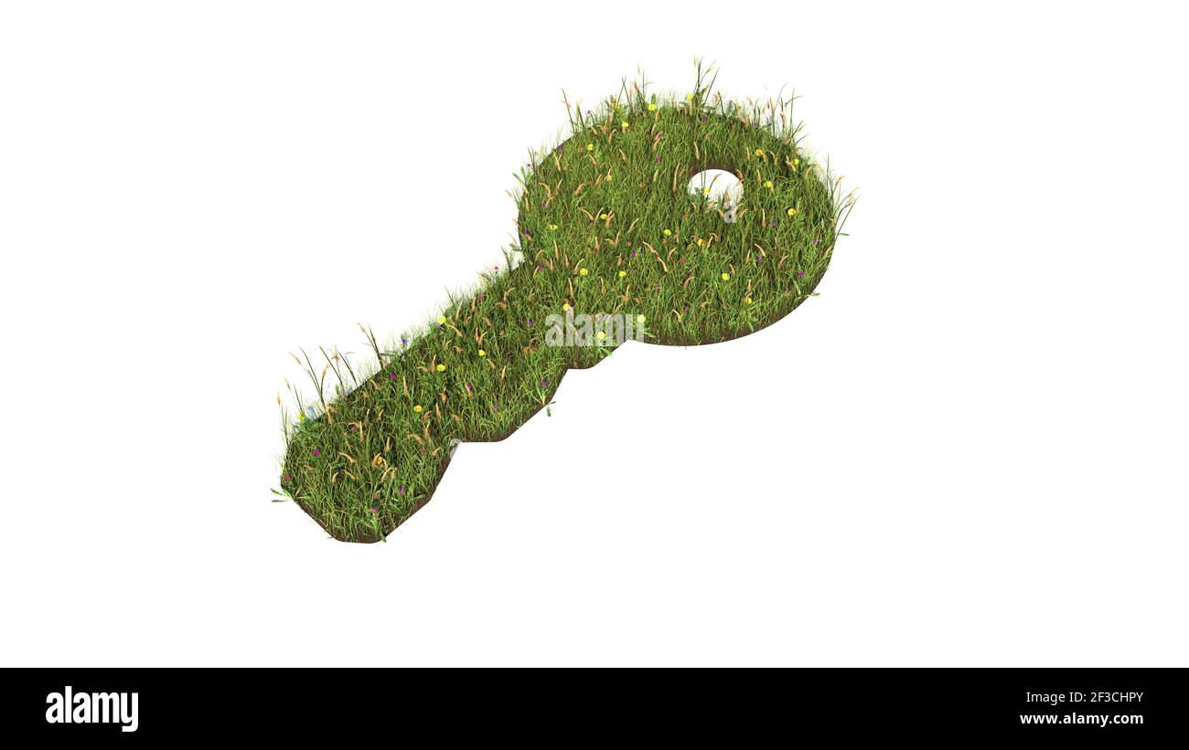 3d rendered grass field with colorful flowers in shape of symbol of key ...
