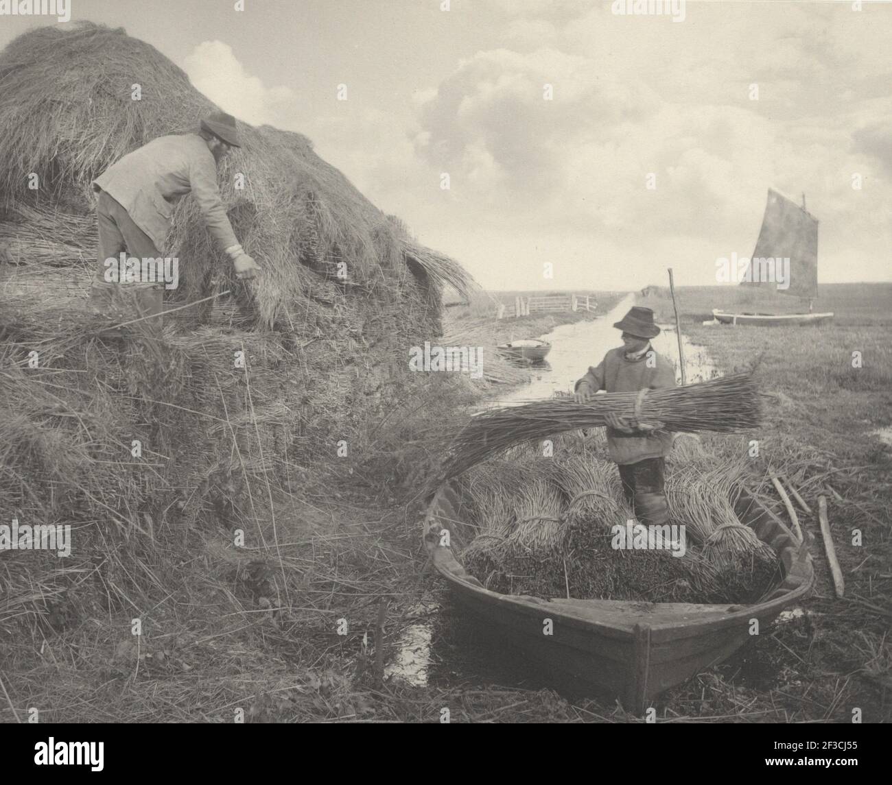 Ricking the reed hi-res stock photography and images - Alamy