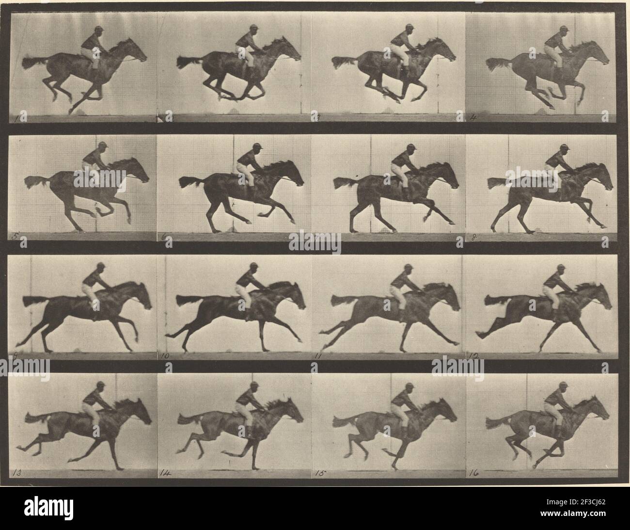 Plate Number 626. Gallop, thoroughbred bay mare, Annie G., 1887 Stock ...