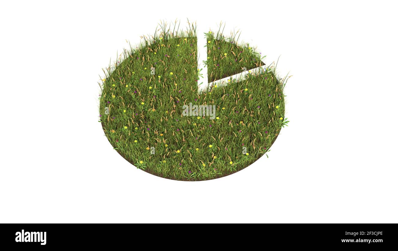 3d rendered grass field with colorful flowers in shape of symbol of pie ...