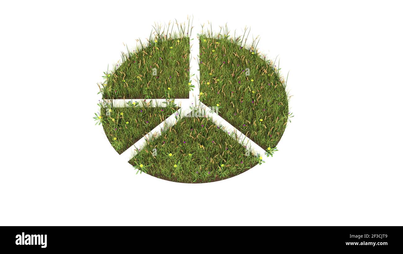 3d rendered grass field with colorful flowers in shape of symbol of pie ...