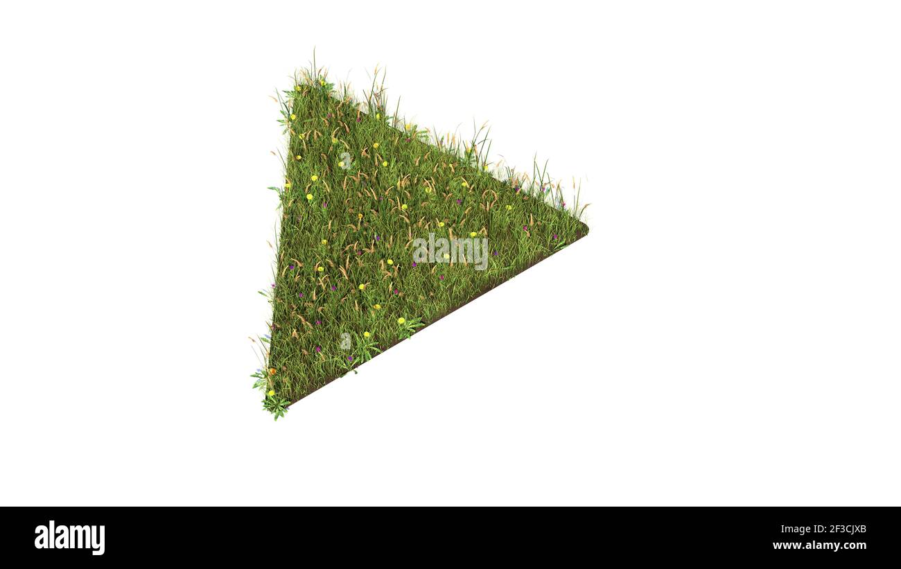 3d rendered grass field with colorful flowers in shape of symbol of ...