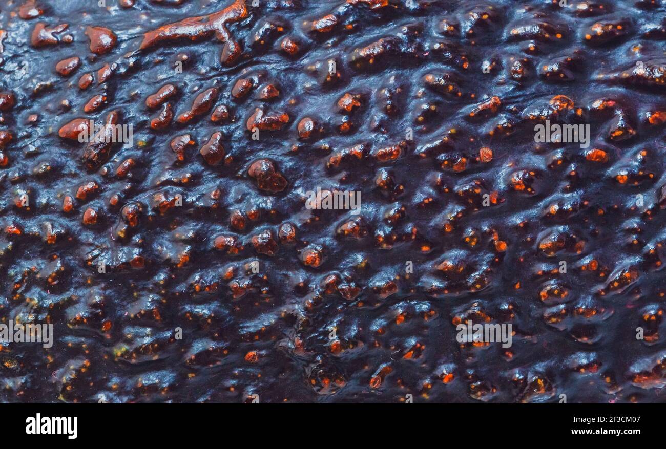 Avocado skin hi-res stock photography and images - Alamy